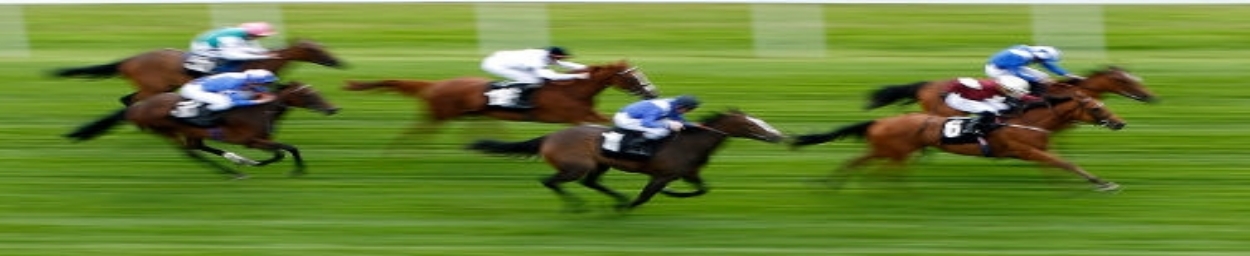 Irish horse racing set to return on 8 June - IGA Group Ltd